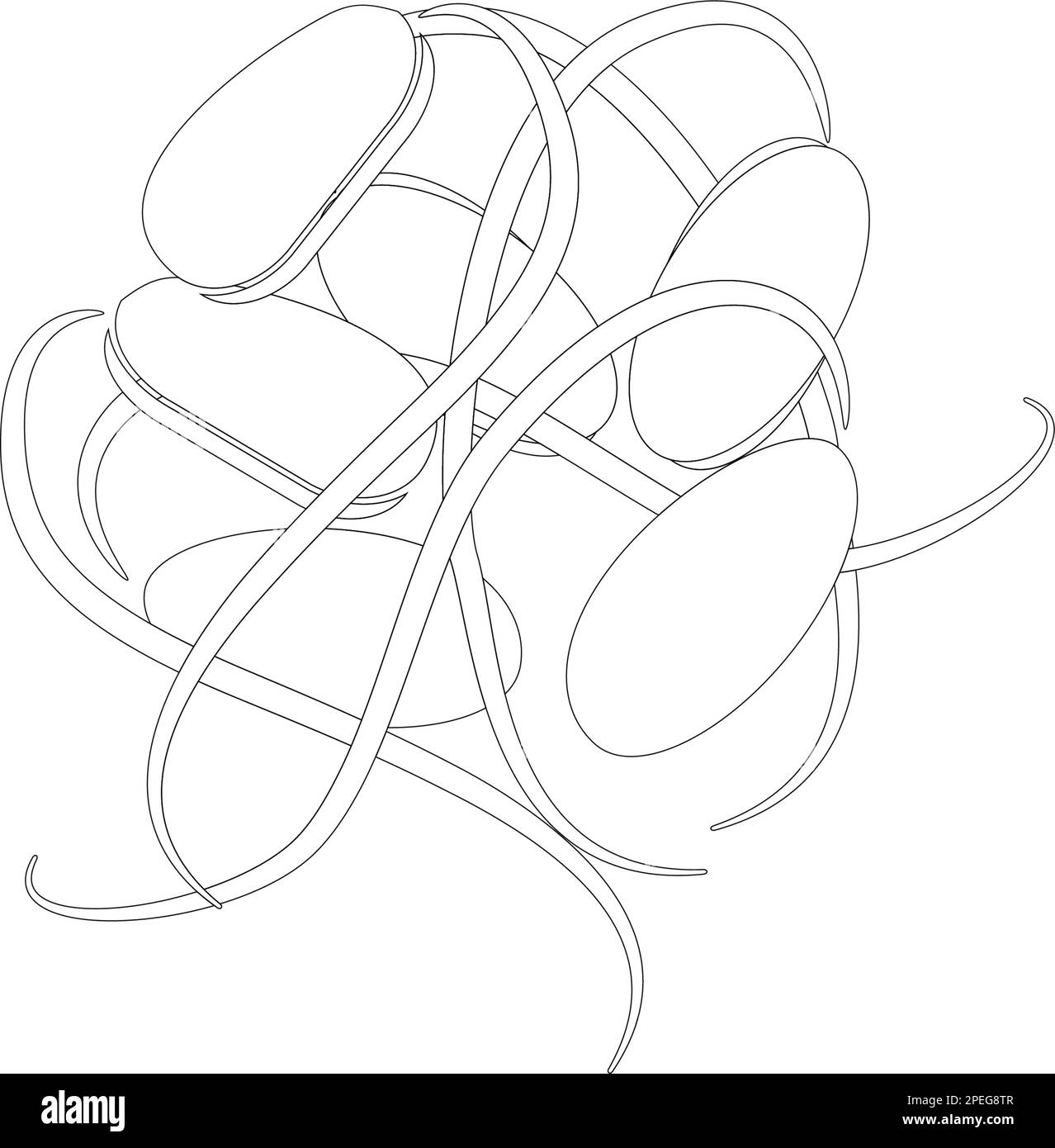 Tree sprouts Black and White Stock Photos & Images - Alamy