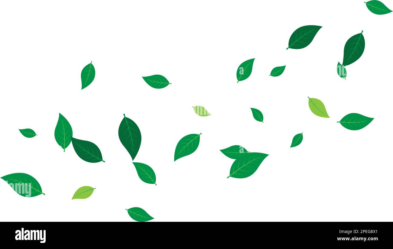 Scattered leaf vector hi-res stock photography and images - Alamy