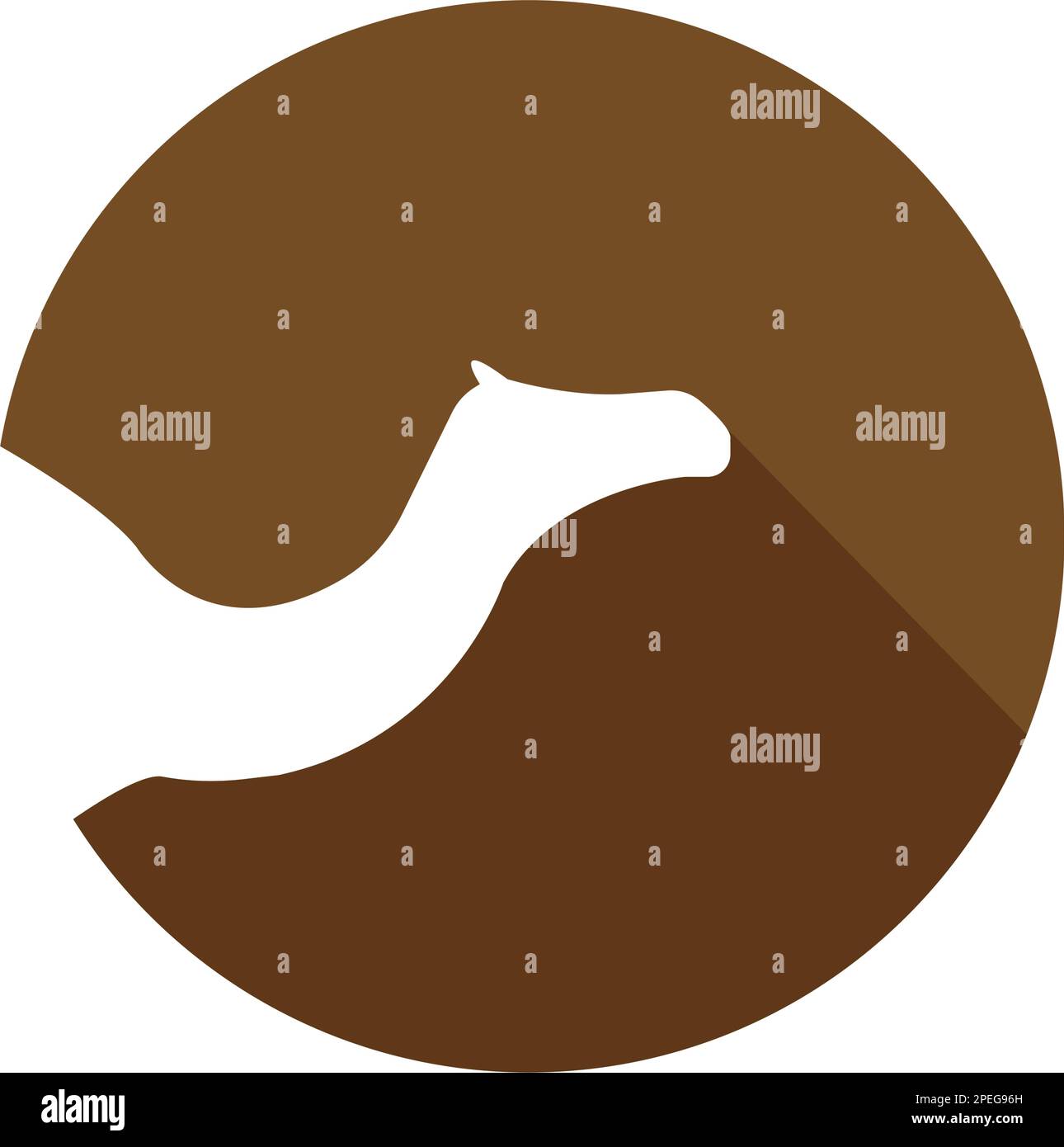 camel logo vector illustration design Stock Vector Image & Art - Alamy