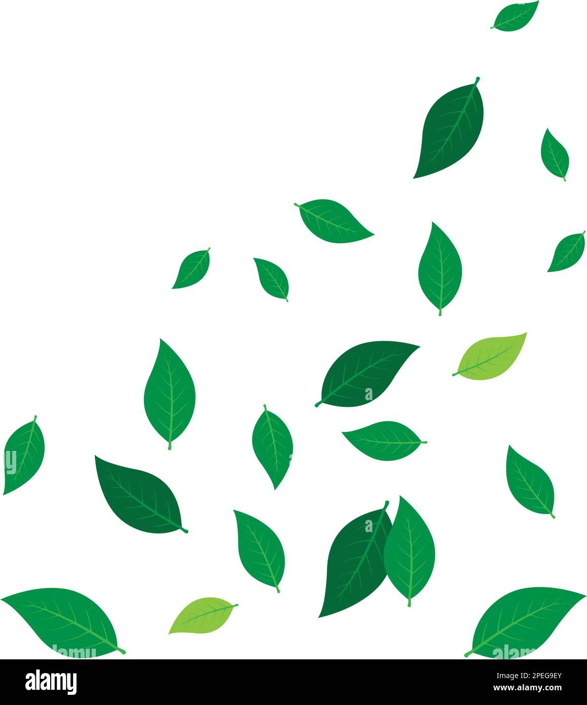 Whites background Stock Vector Images - Alamy