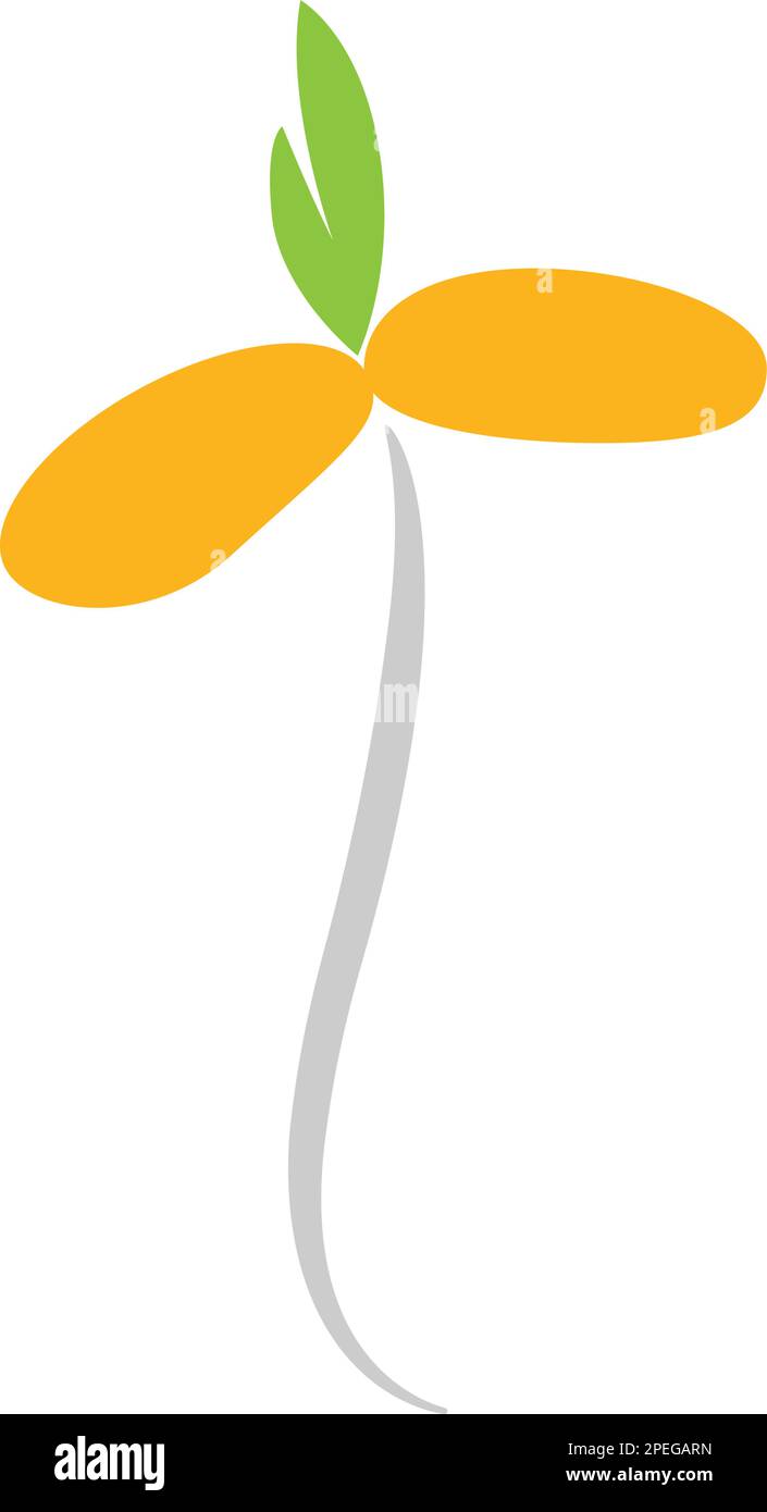 Bean sprouts vegetable concept agriculture Stock Vector Images - Alamy