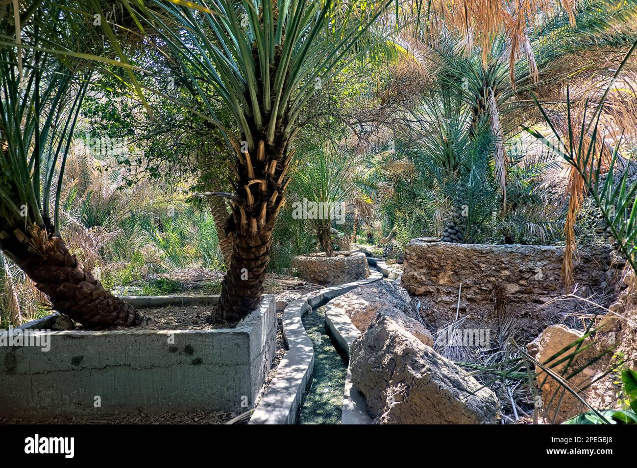 View of the falaj (aflaj: the ancient Omani irrigation channels), Wadi ...