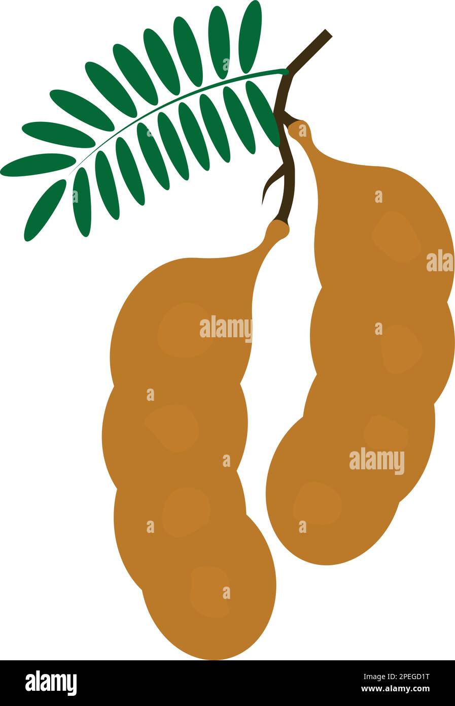 tamarind logo icon vektor template Stock Vector Image & Art - Alamy