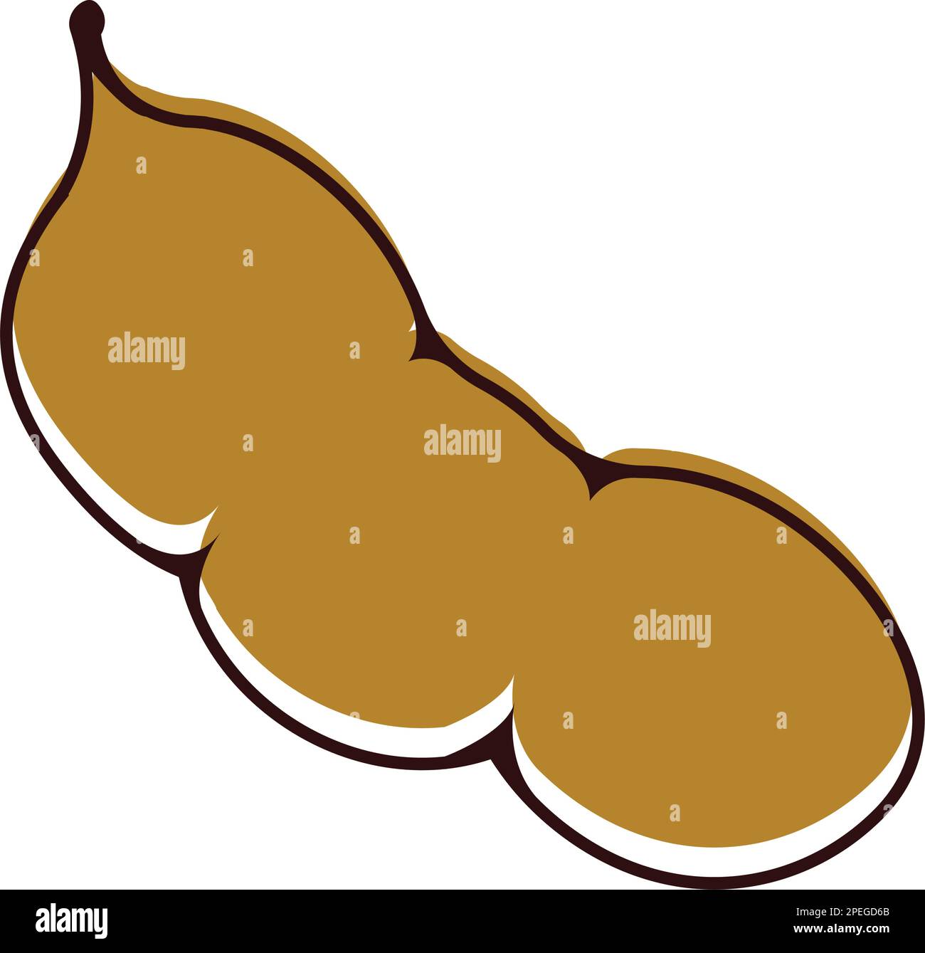 tamarind logo icon vektor template Stock Vector Image & Art - Alamy