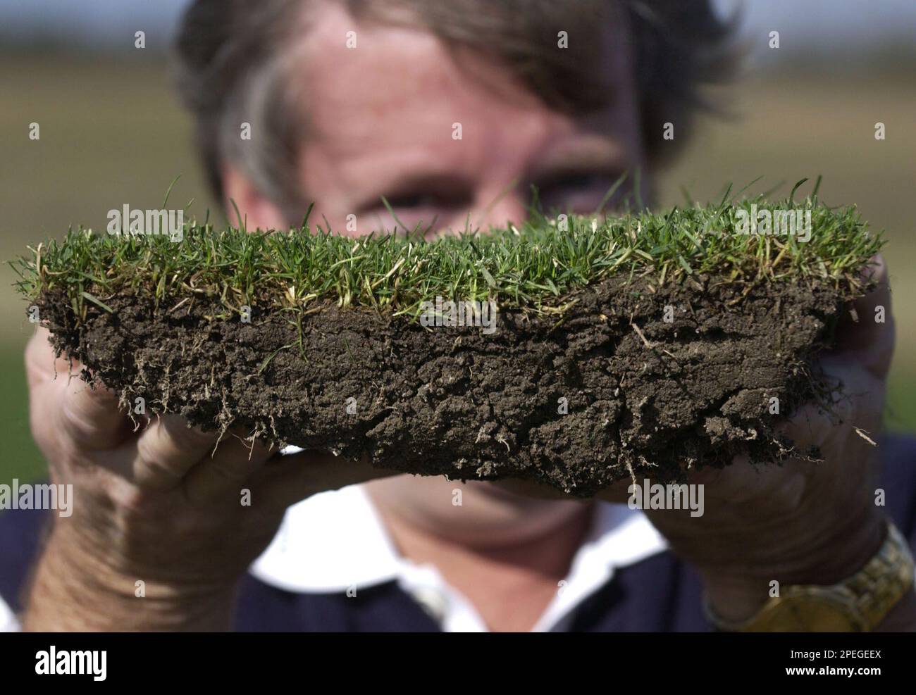 Phillip Jennings of Jennings Turf Farms, holds a section of grass and ...
