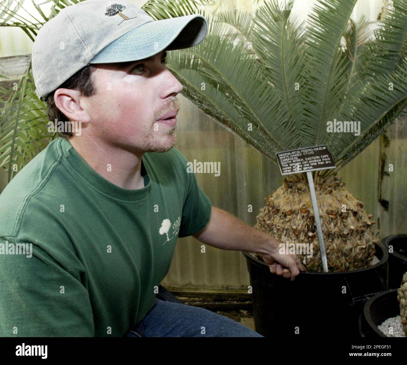 Jason Kubrock, lead gardener at the Quail Botanical Gardens in ...