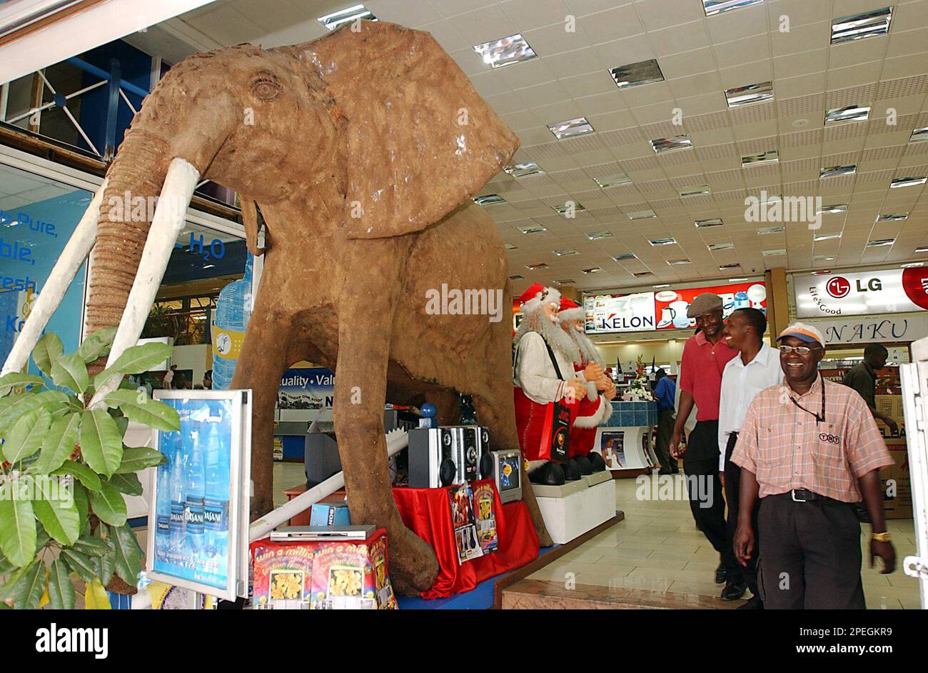 A model African elephant stands as models of Santa Claus dancesto the ...