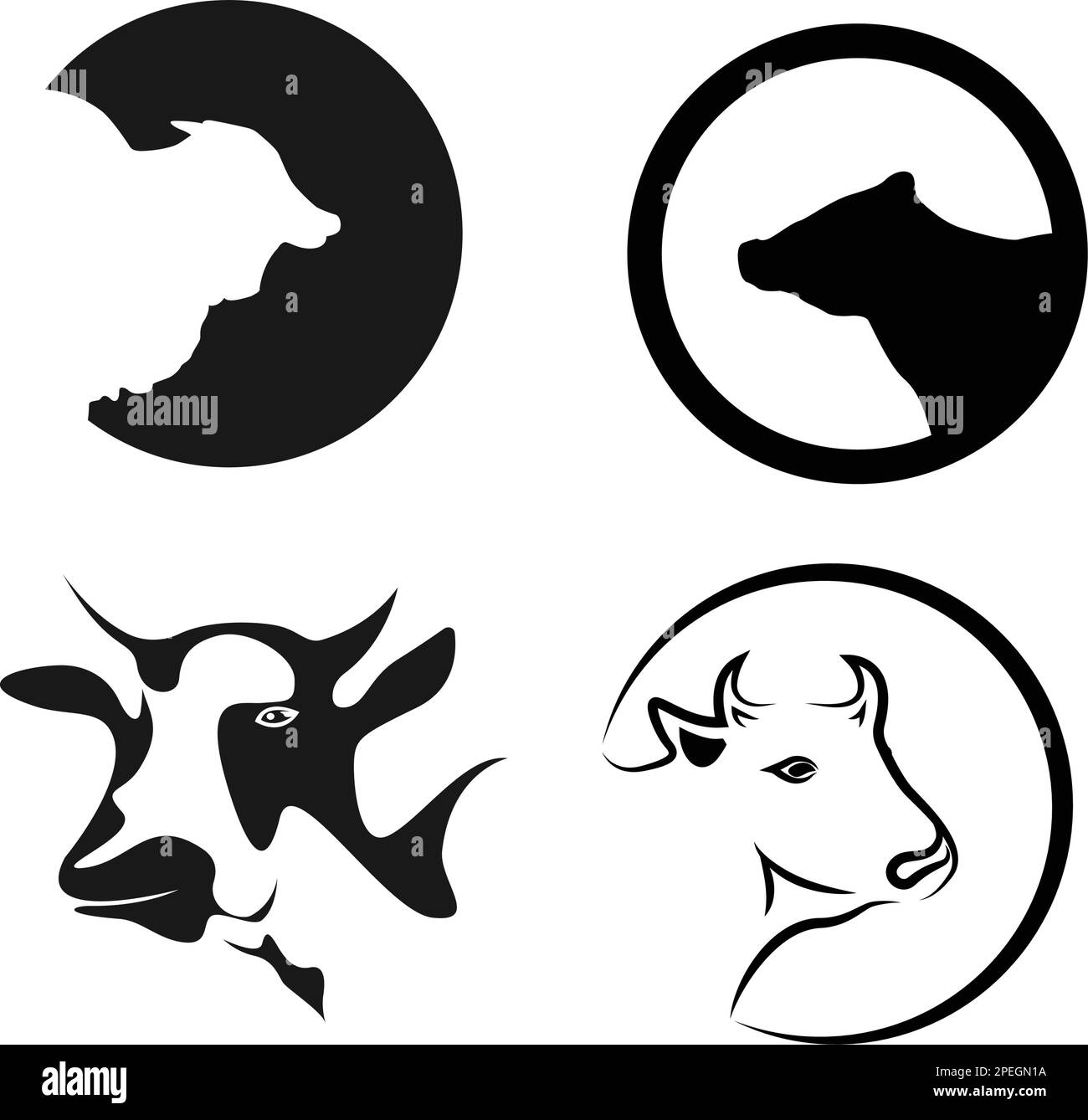 black cow logo vektor template Stock Vector Image & Art - Alamy