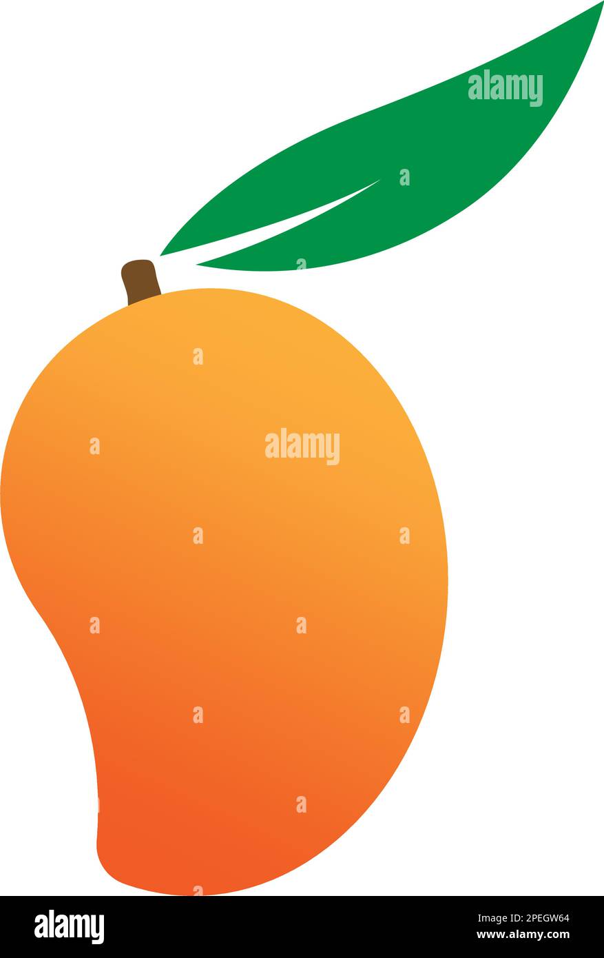 Mangos fruit Stock Vector Images - Alamy