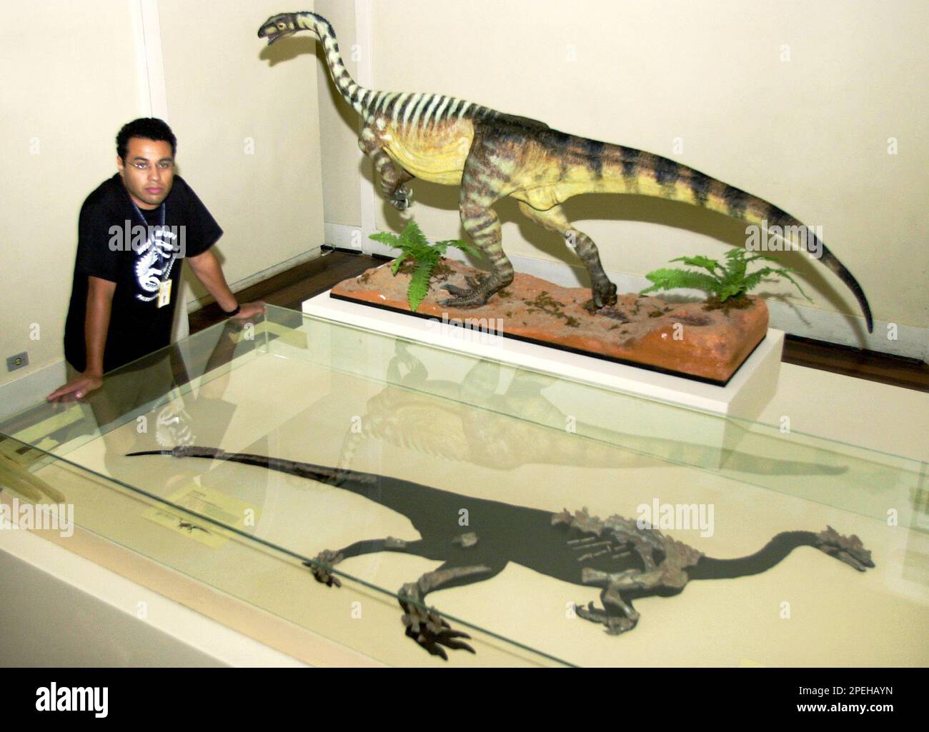 Luciano Leal, a paleontologist at the Federal University in Rio de ...