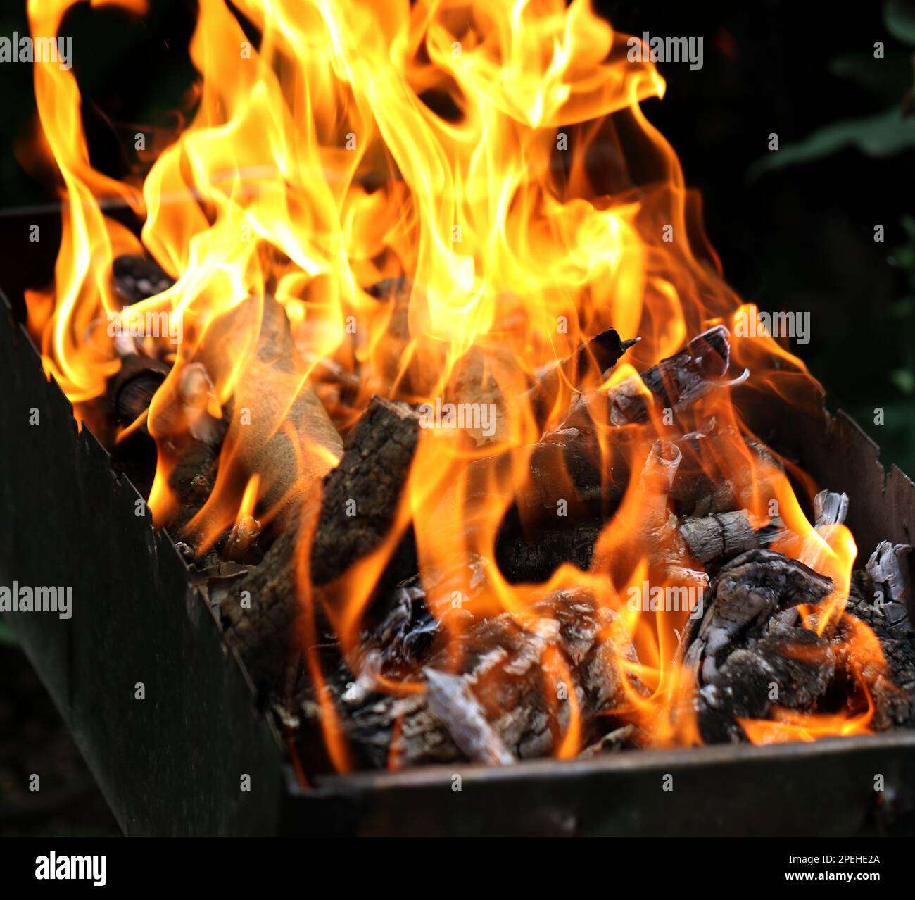 Fire on the grill, grill for cooking fried meat in nature during a ...