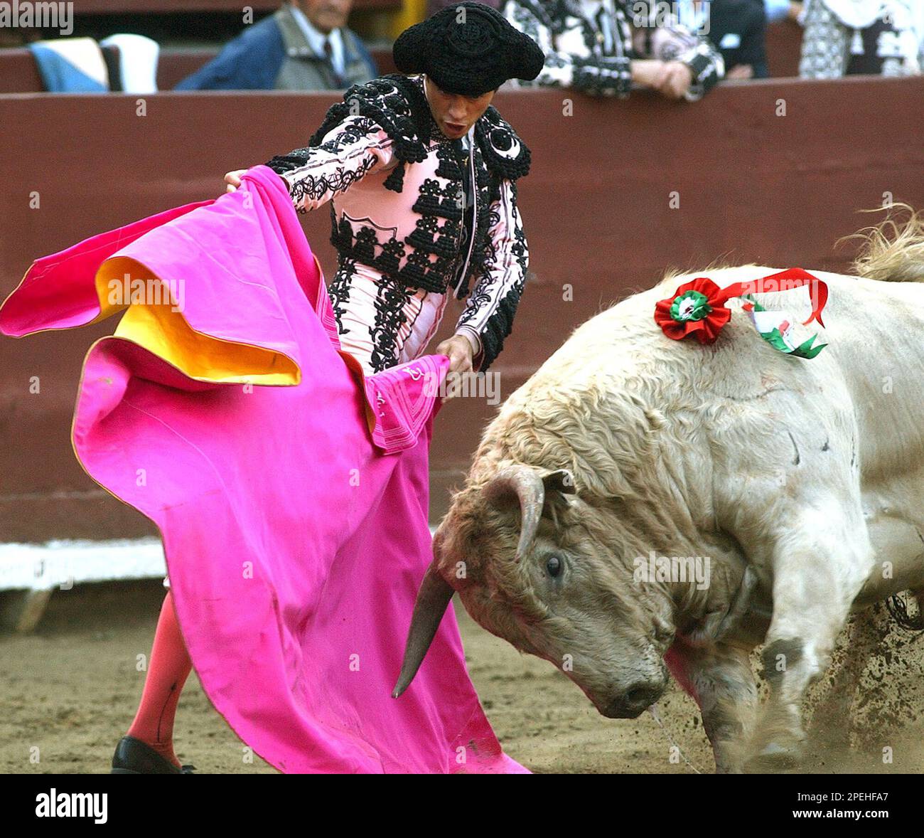 A bull passes by Spanish bullfighter Finito de Cordoba during 'Senor de ...