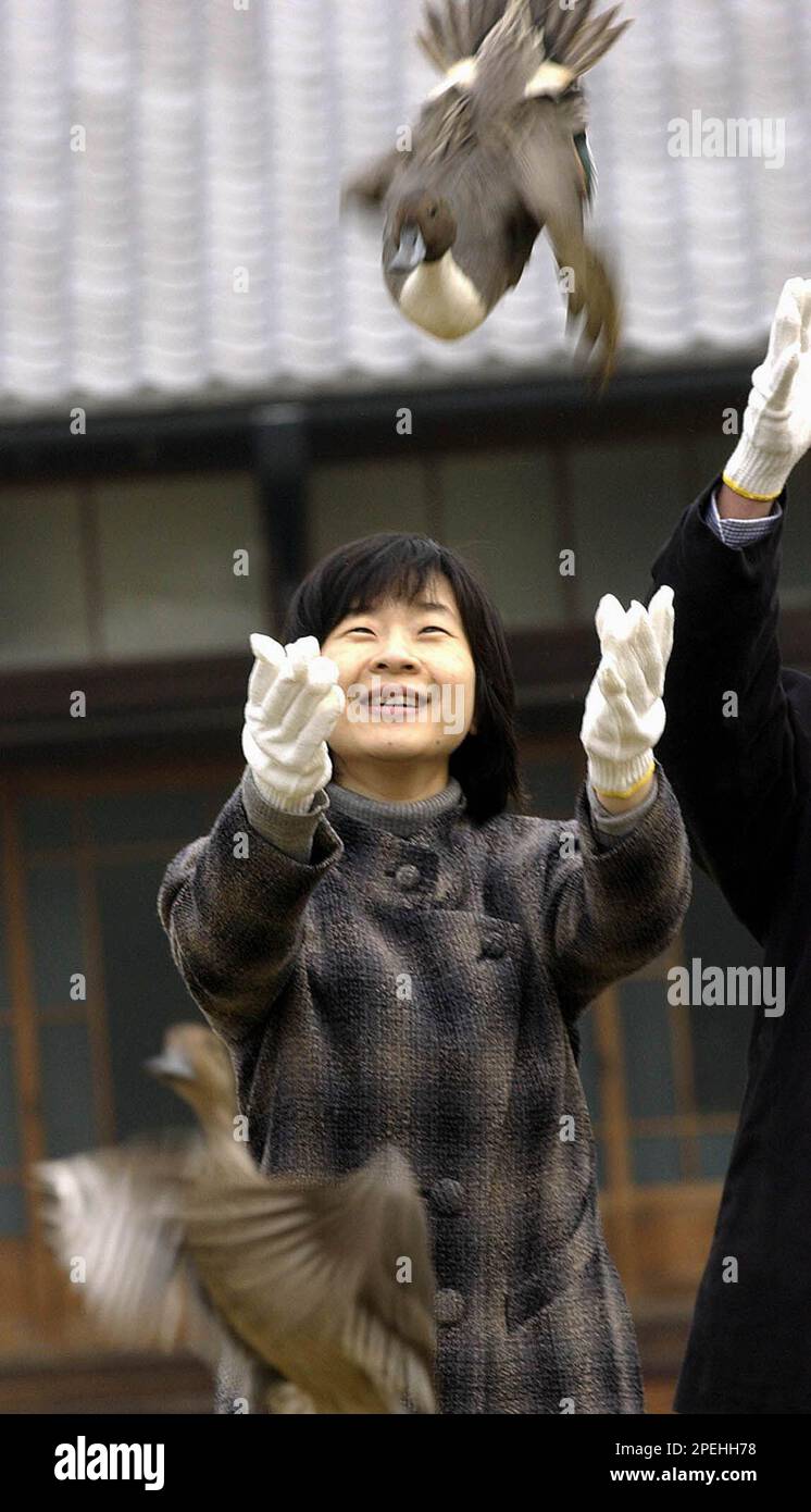 Japan's Princess Sayako releases a duck into the air at the imperial ...
