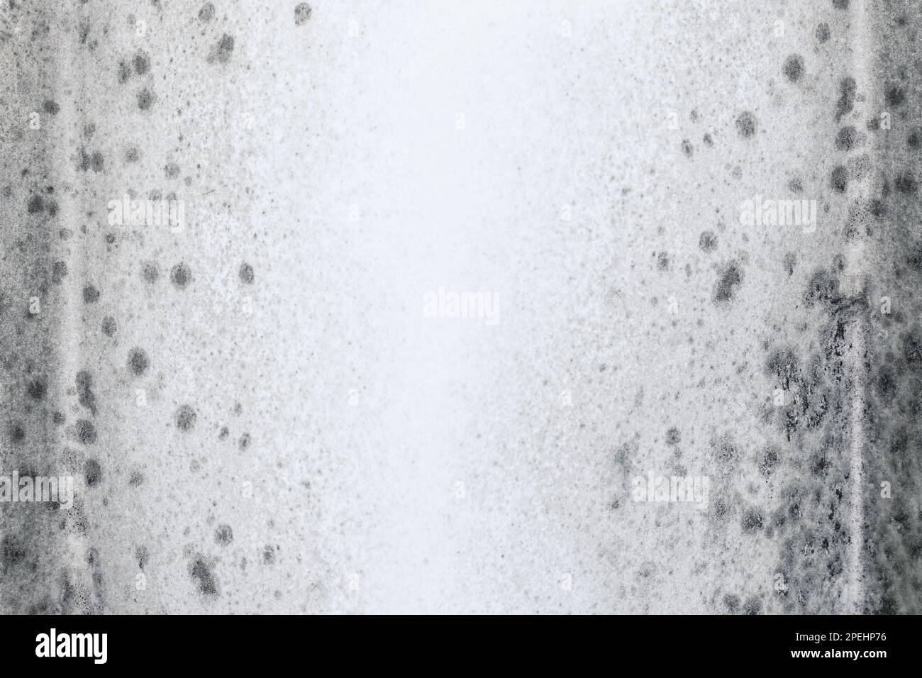 Cladosporium Mold On Wall