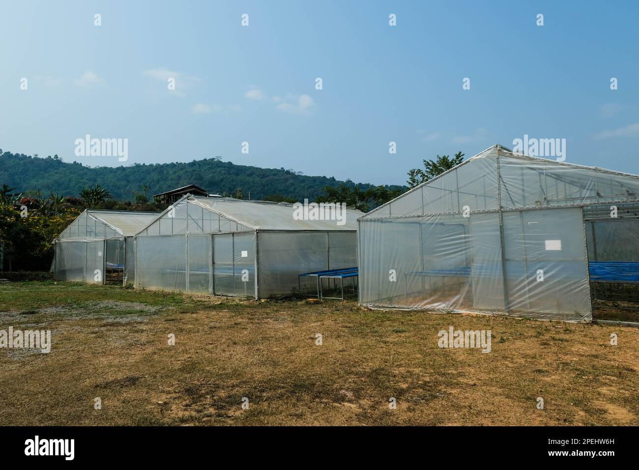 Solar drying hi-res stock photography and images - Alamy