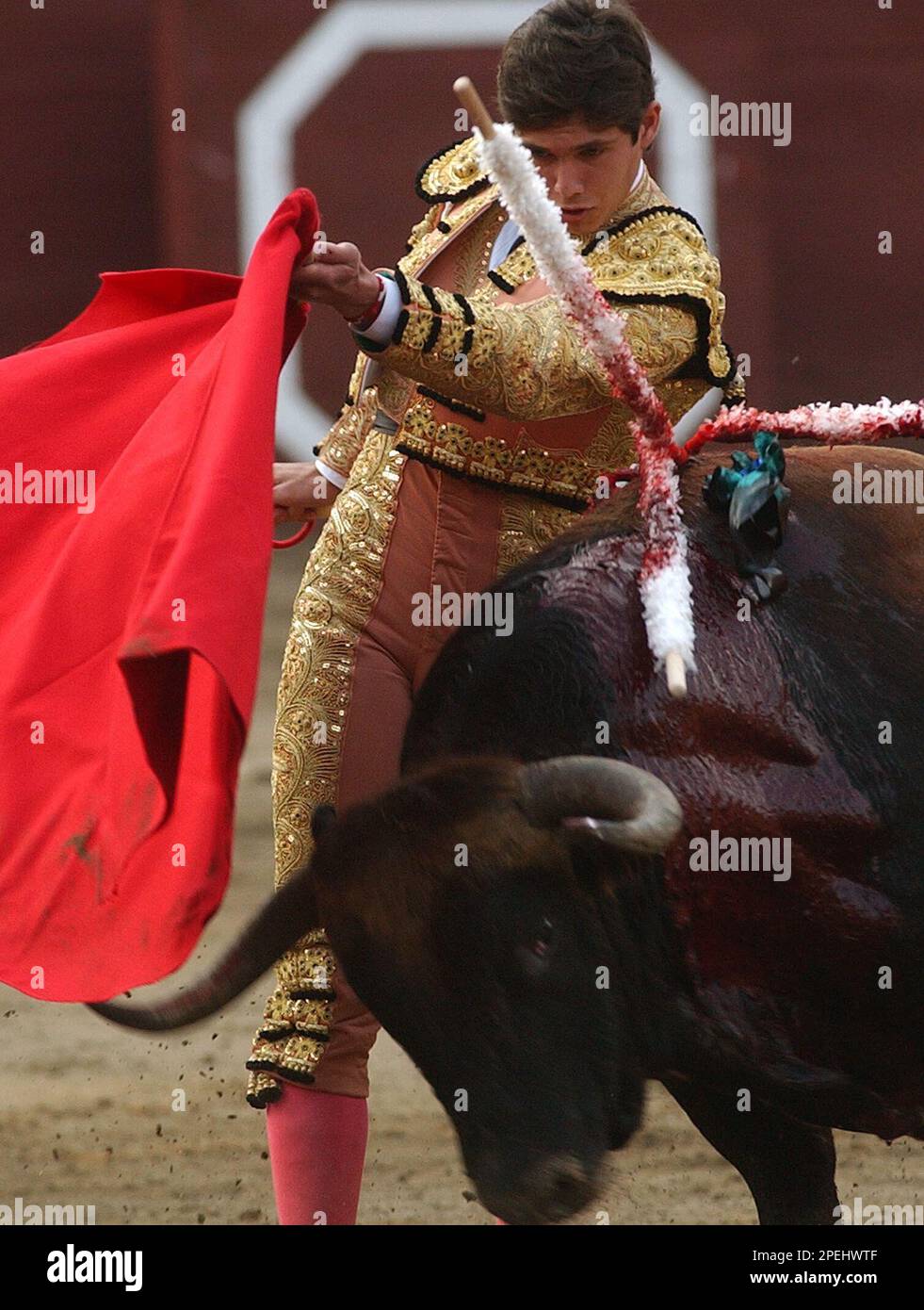 A bull passes by French bullfighter Sebastian Castella during the ...