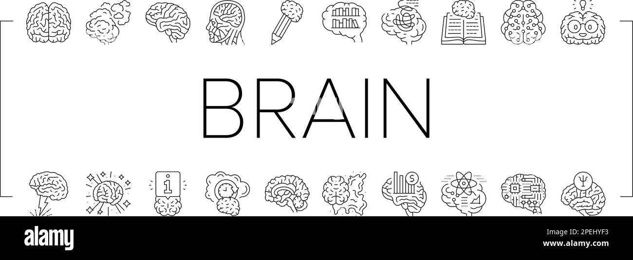 brain human mind head idea icons set vector Stock Vector Image & Art ...