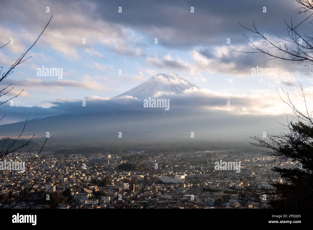 Tokyo phto hi-res stock photography and images - Alamy
