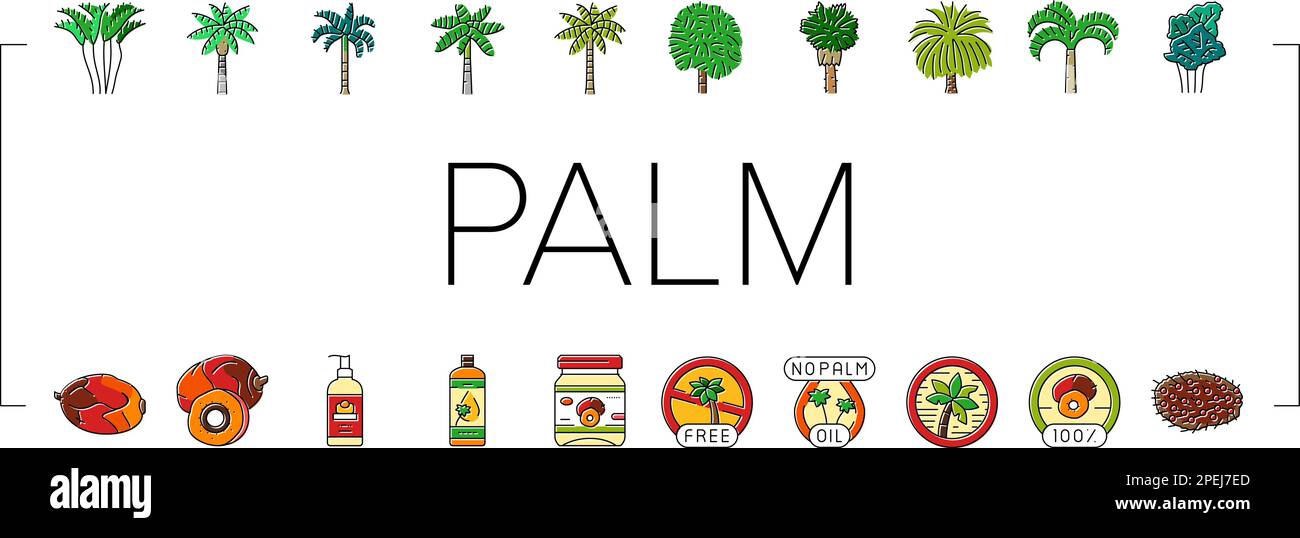 palm oil tree leaf plant icons set vector Stock Vector Image & Art - Alamy