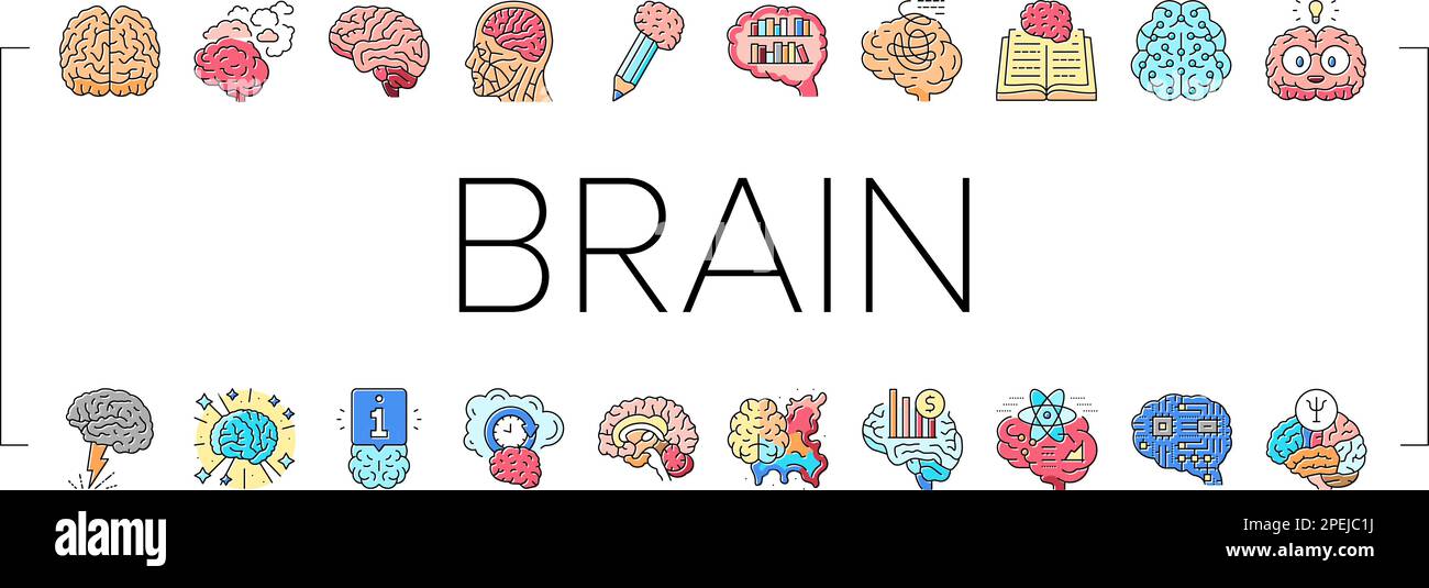 brain human mind head idea icons set vector Stock Vector Image & Art ...