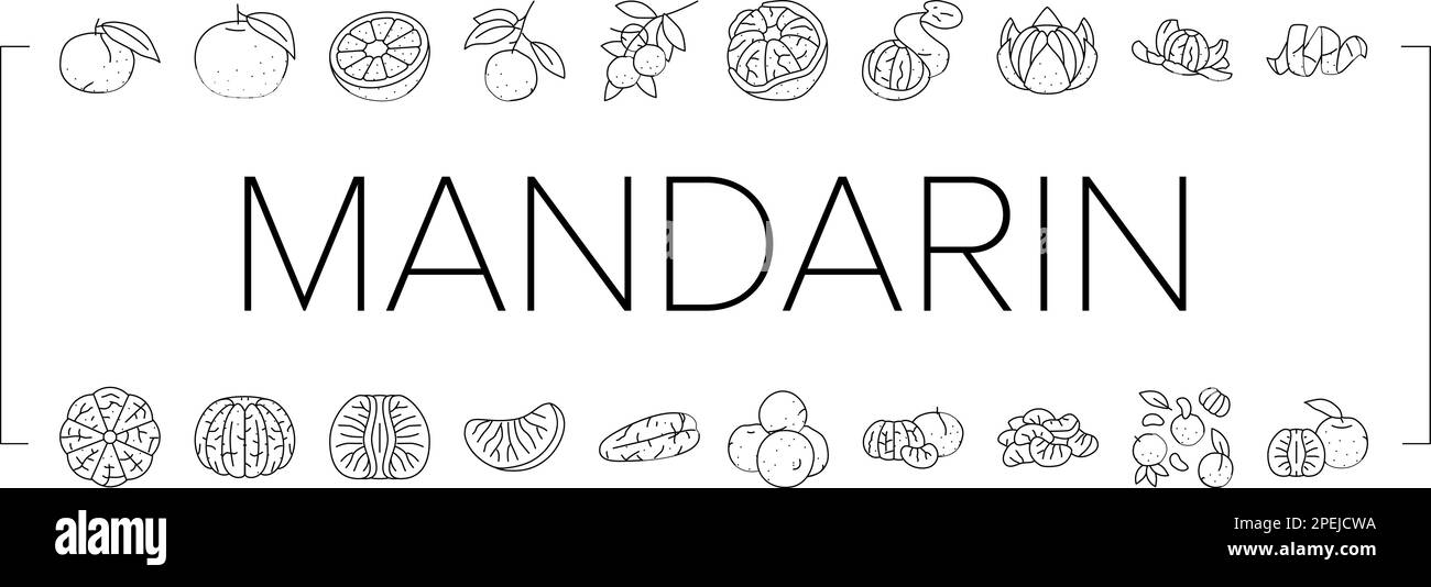 mandarin clementine orange fruit icons set vector Stock Vector Image ...