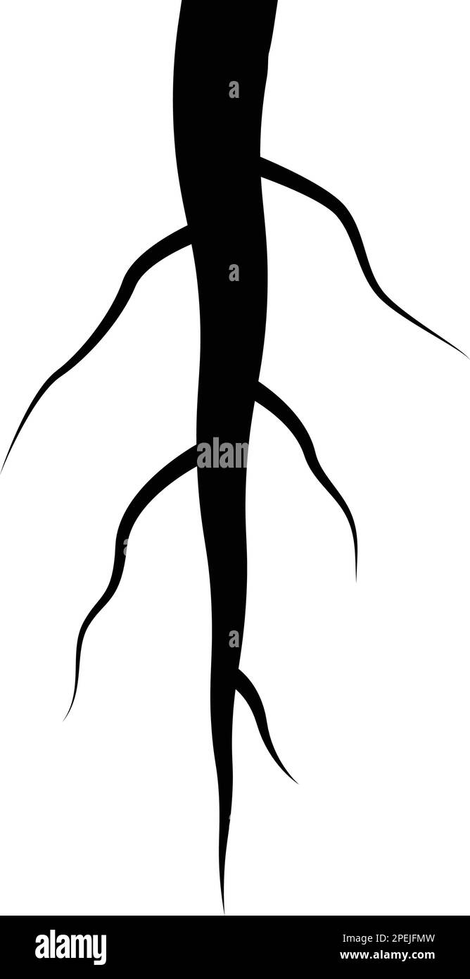 Root vector illustration template design Stock Vector Image & Art - Alamy