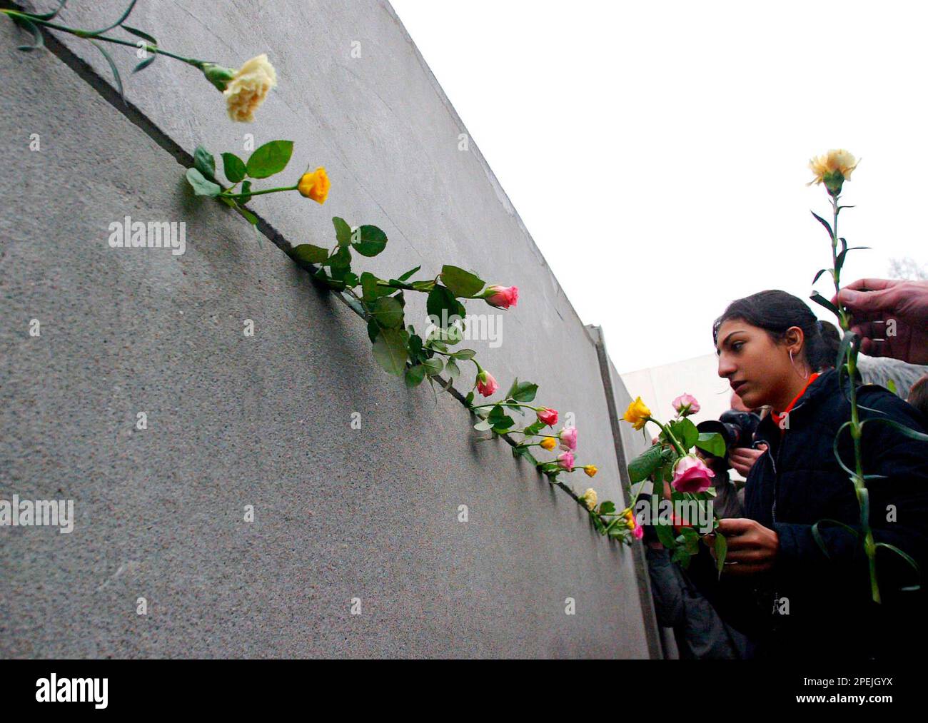 A young woman sticks a rose between concrete slabs of the former Berlin ...