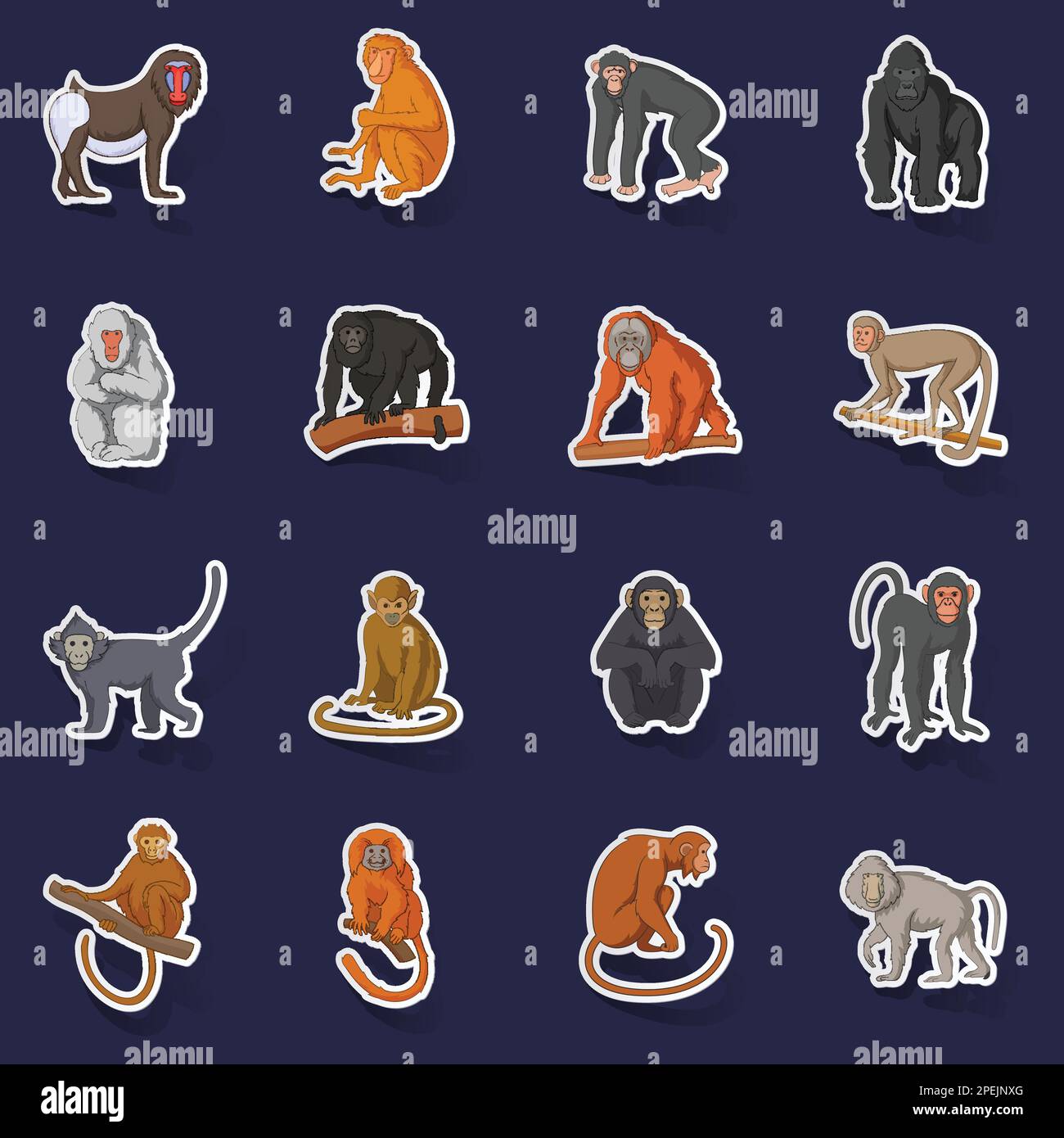 Different monkeys icons set stikers collection vector with shadow on ...