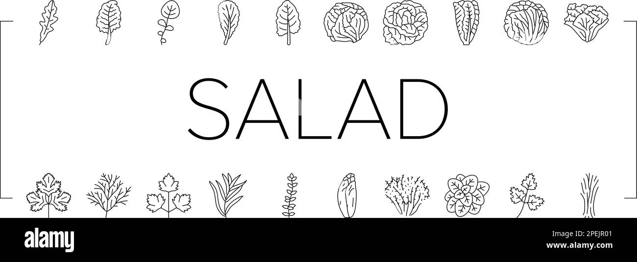 salad food healthy green fresh icons set vector Stock Vector Image ... salad food healthy green fresh icons set vector Stock Vector Image ...