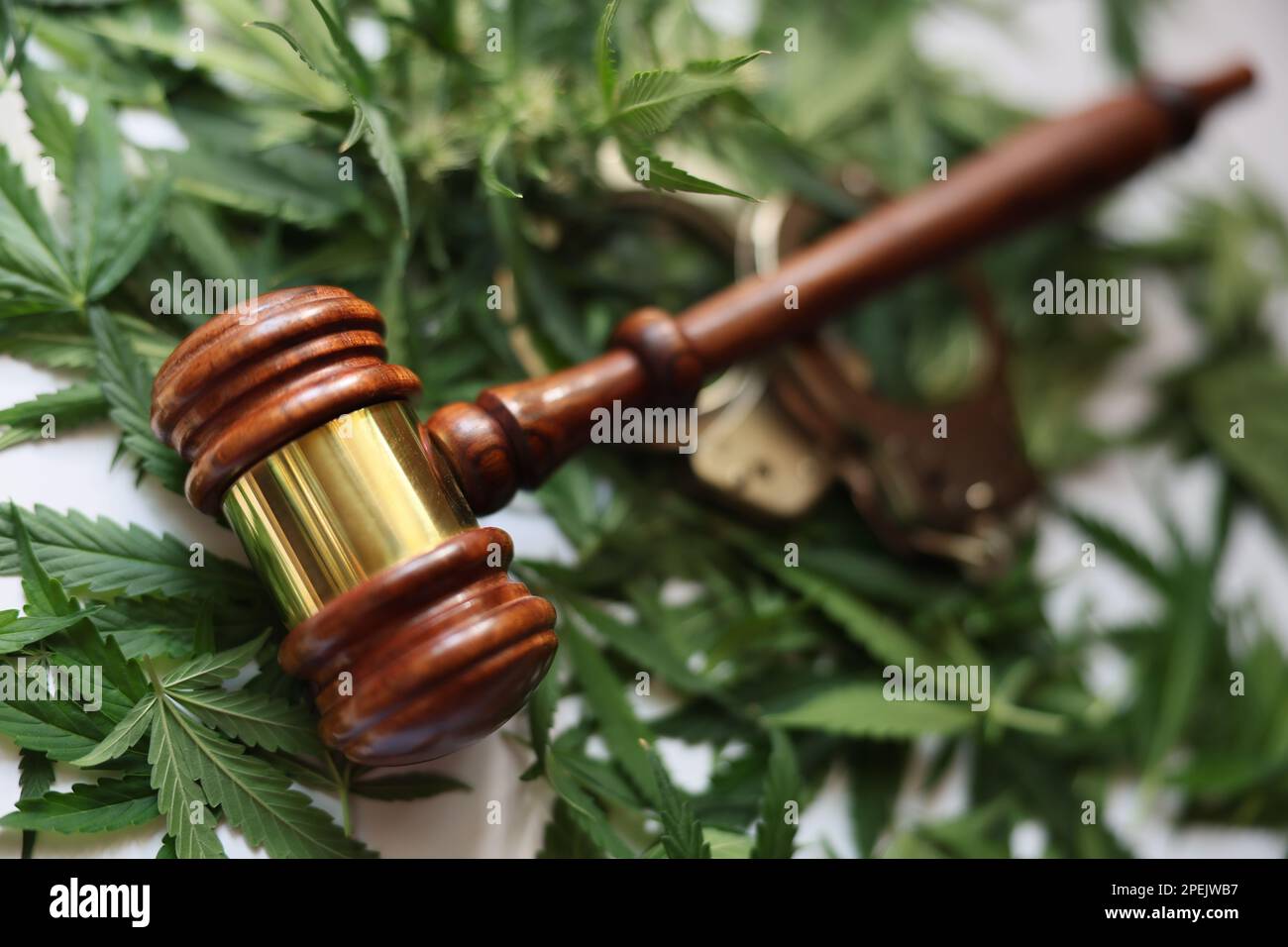 Marijuana leaves judge gavel legalization hi-res stock photography and ...
