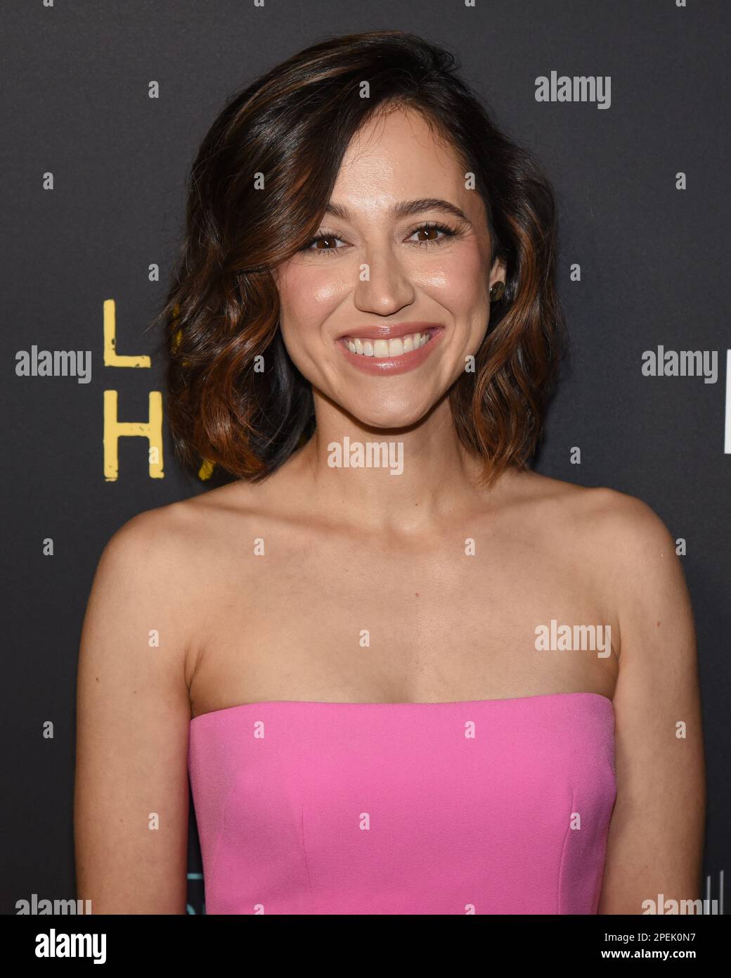 Sara amini hi-res stock photography and images - Alamy