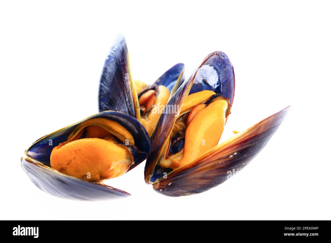 Mussels on a white background Stock Photo - Alamy