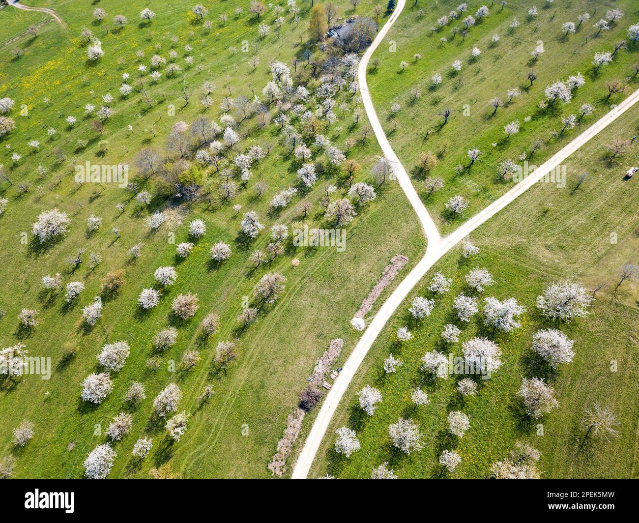 Aerial view garden blooming fruit hi-res stock photography and images ...