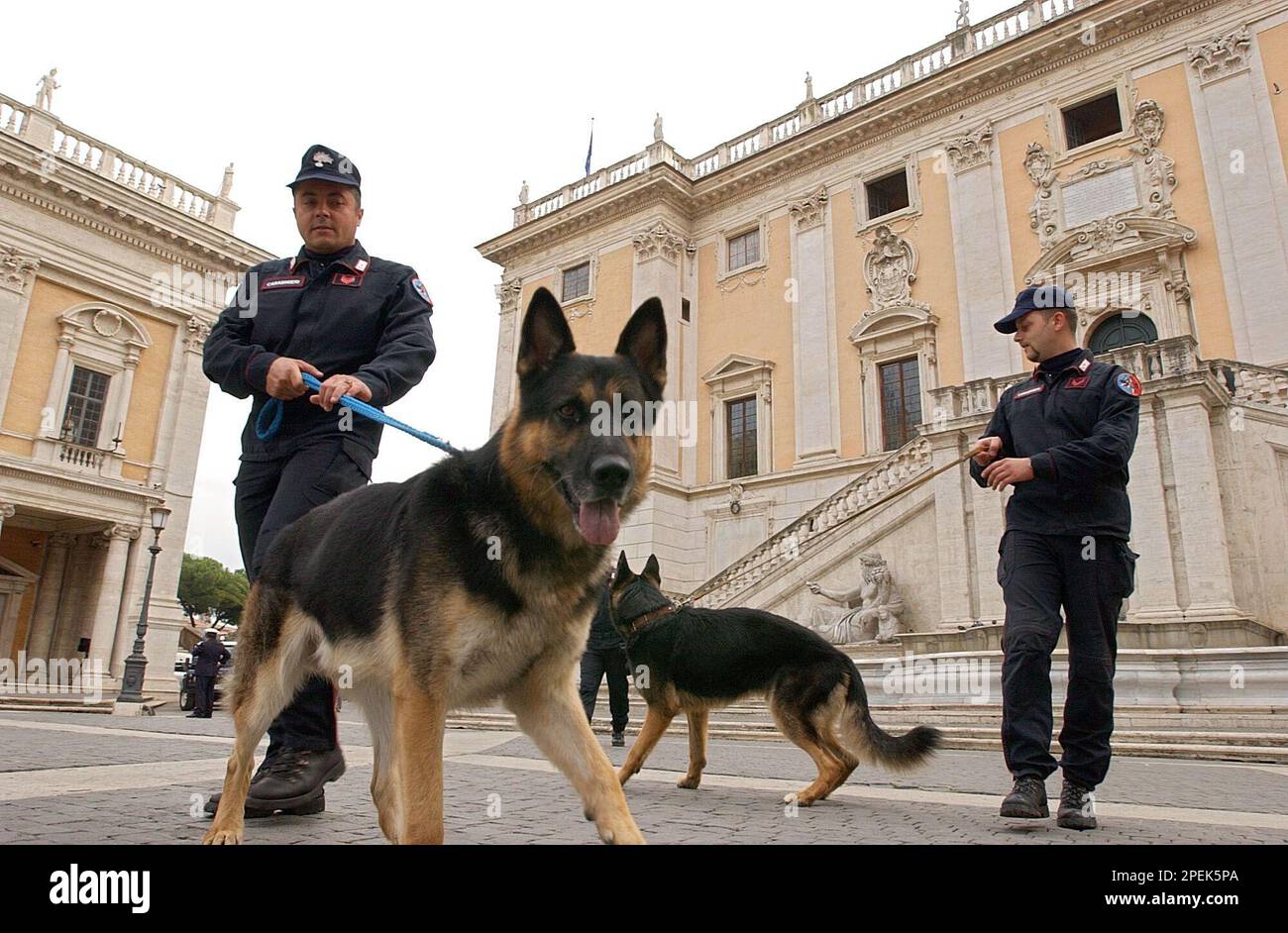 Italian Carabinieri paramilitary police with trained dogs patrol in ...