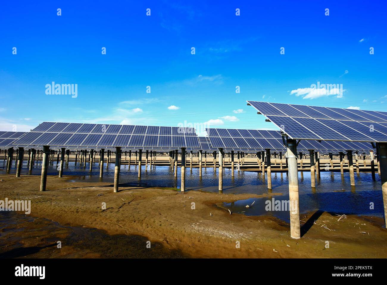 Solar panels on the water Stock Photo - Alamy