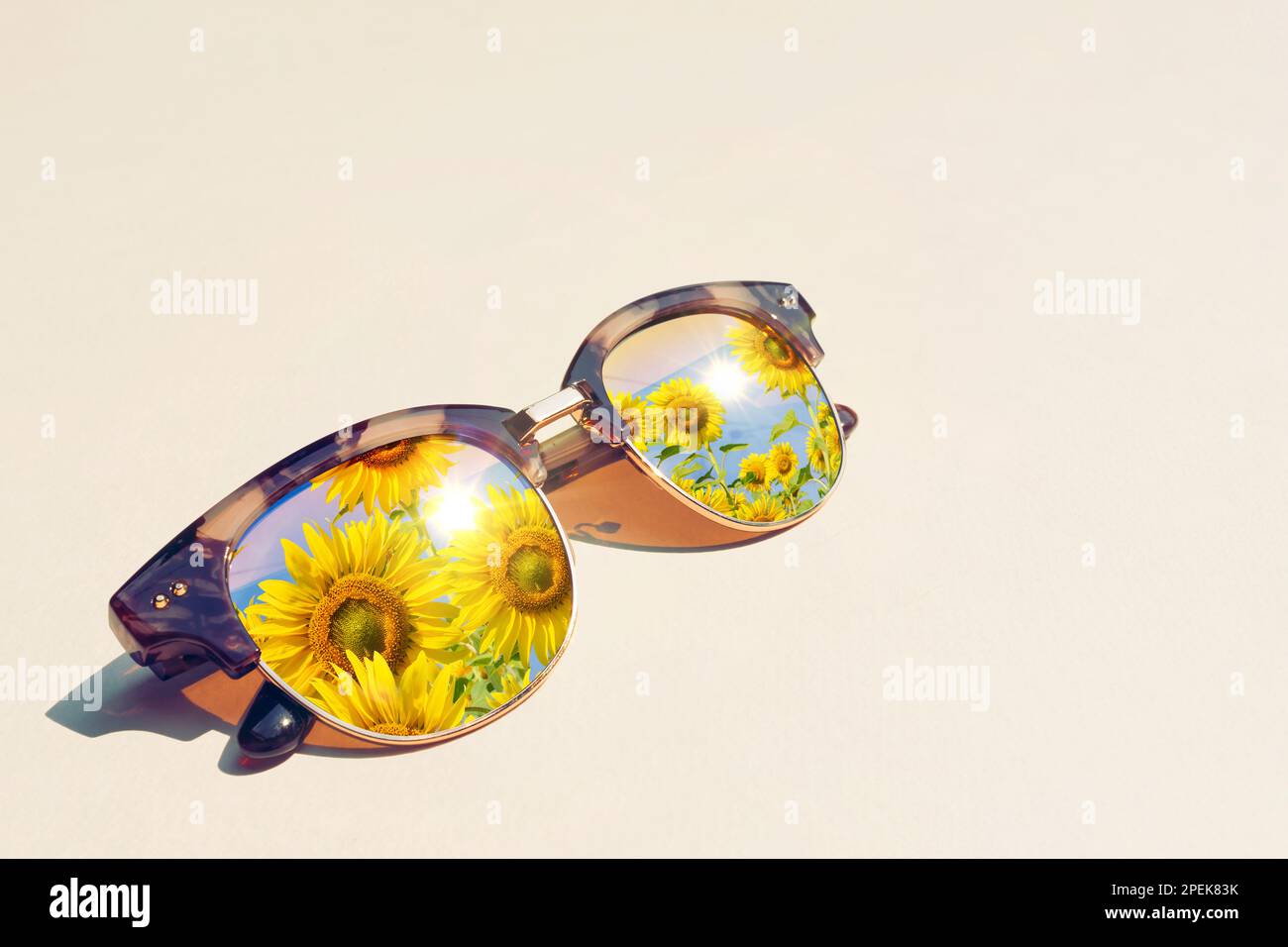 Sun flowers reflection in sunglass. eyesight for summer travel ...
