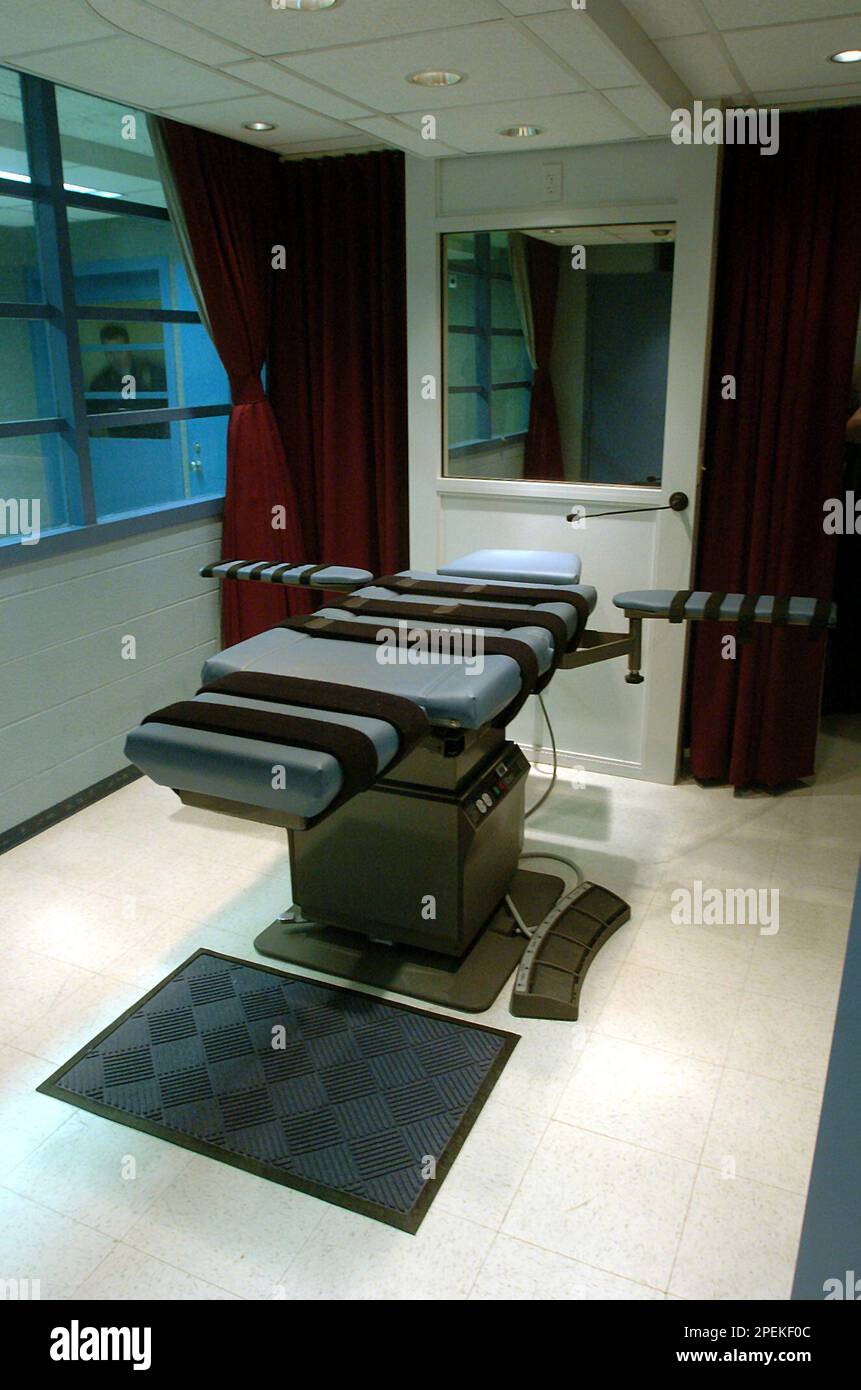 A hospital table, equipped with Velcro straps is shown in the chamber ...