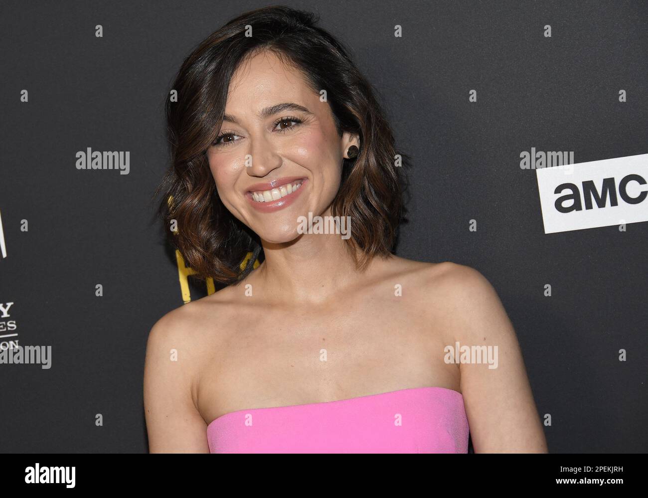 Los Angeles, USA. 15th Mar, 2023. Sara Amini arrives at the AMC Network ...