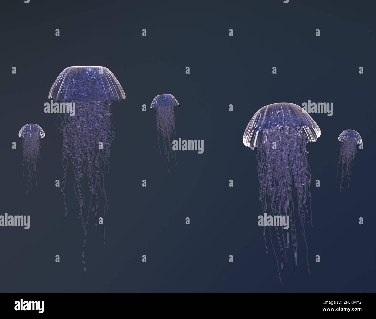 Group of jellyfish swimming calmly in blue water upwards 3D render ...