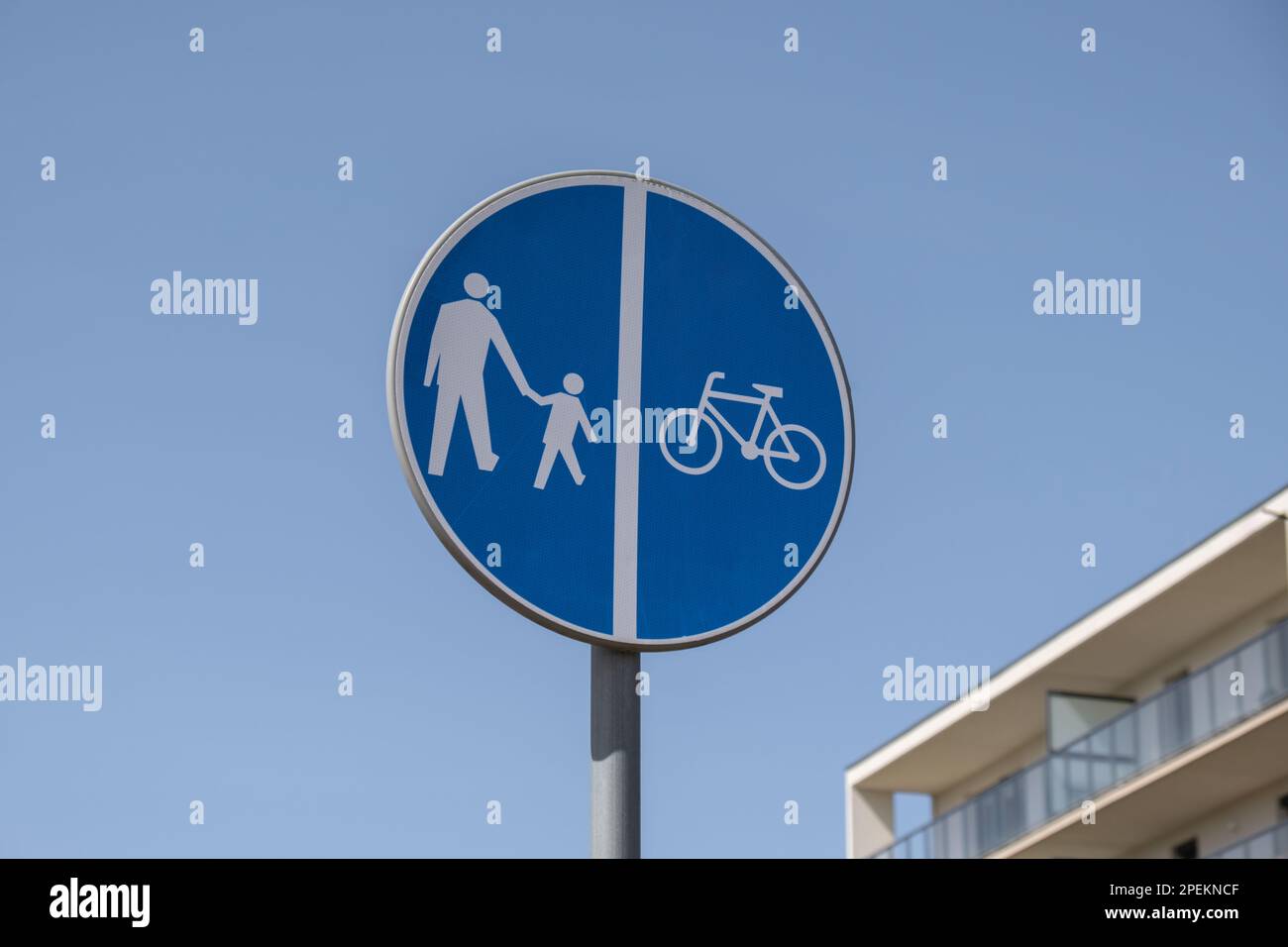 Cyclist and pedestrian route sharing sign. Road sign Pedestrian and ...