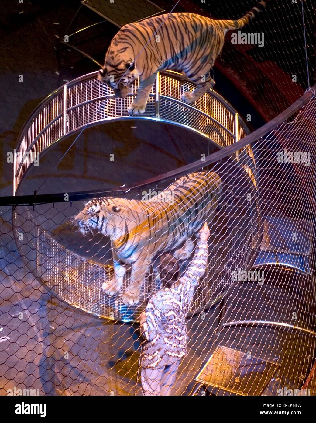 Ringling Bros Mark Oliver Gebel