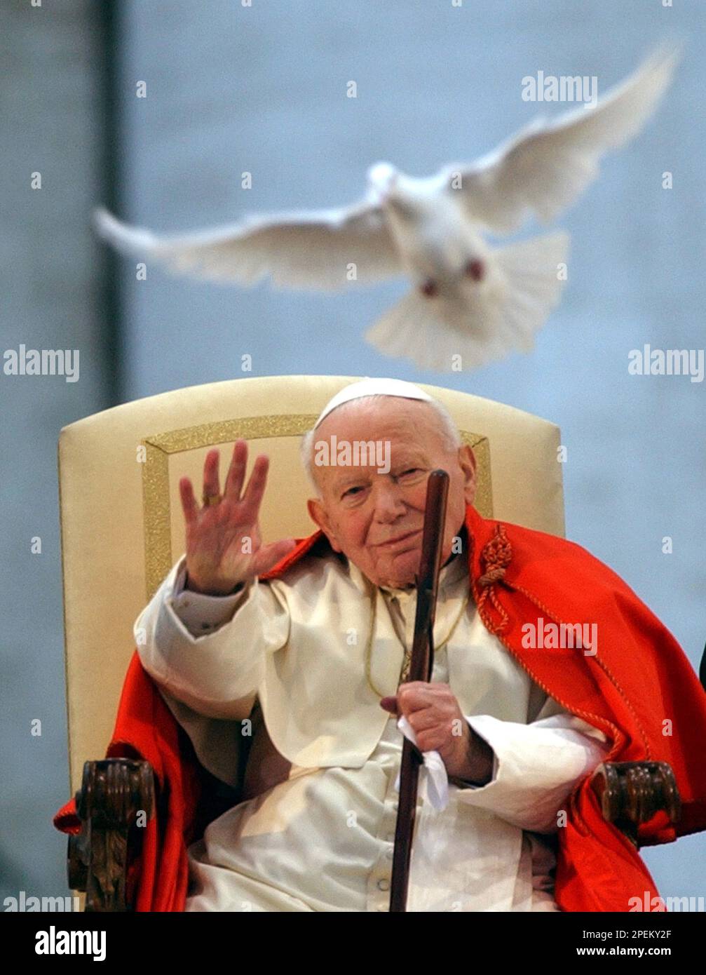 Pope Releases Dove That Died