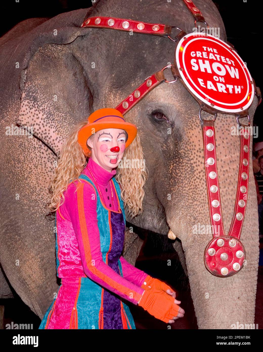 Molly Pelly works with the elephants before the start of the 133rd ...