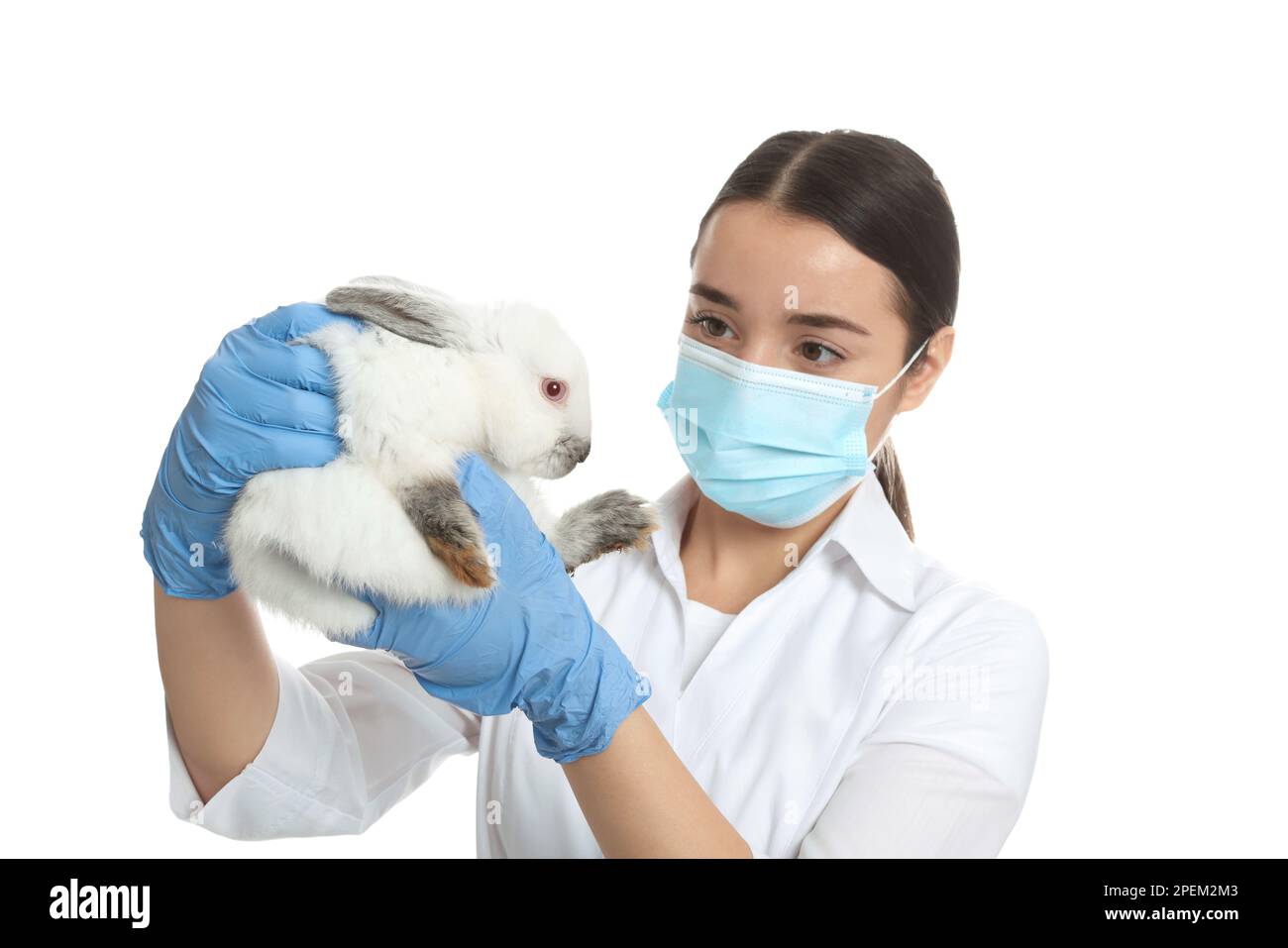 Scientist holding rabbit on white background. Animal testing concept ...
