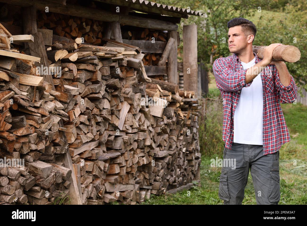 Man with log near wood pile outdoors Stock Photo - Alamy