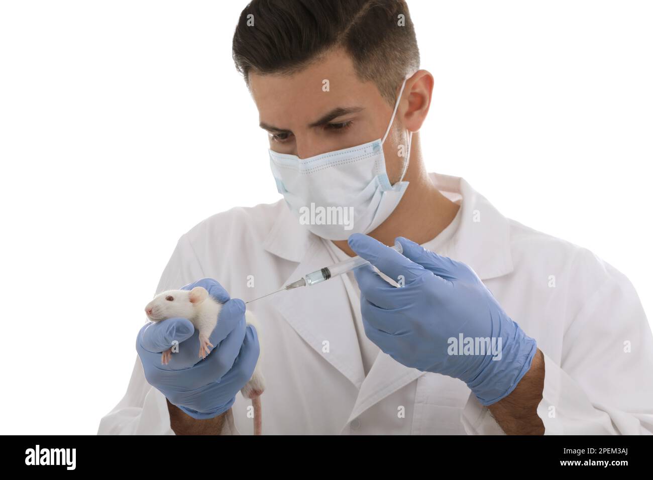 Scientist with syringe and rat on white background. Animal testing ...
