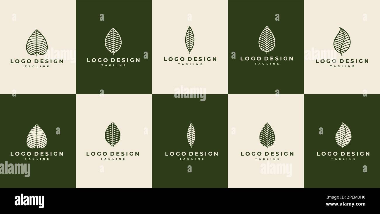 Luxury line leaf logo design. Line art nature logo. Leaf logo set Stock ...