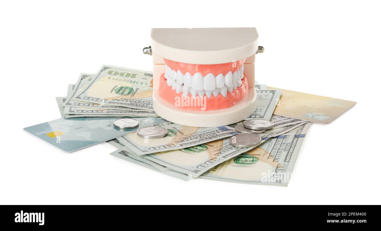 Educational dental typodont model, money and credit cards on white ...