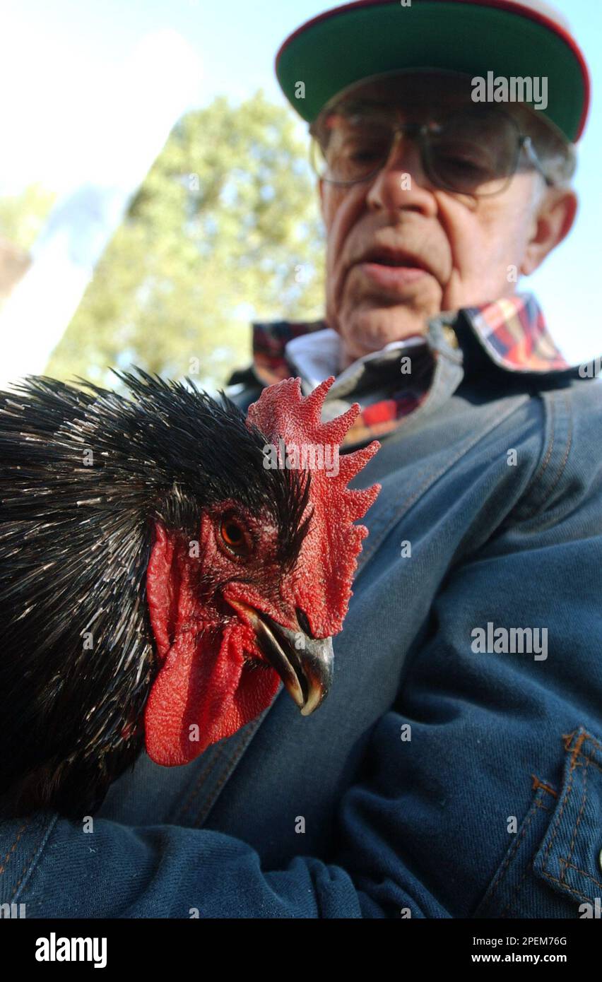 ** ADVANCE FOR SATURDAY OCT. 9 ** Wayne Durfee shows off his male Rhode ...