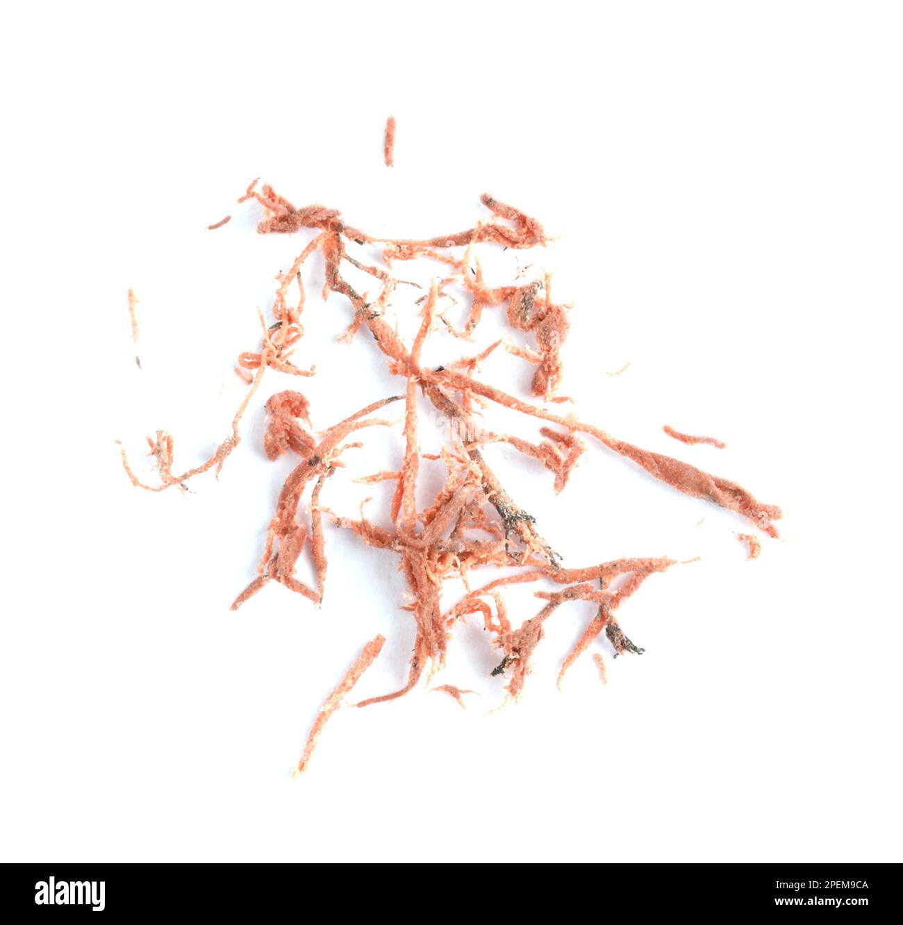 Pile of brown eraser crumbs on white background, top view Stock Photo ...